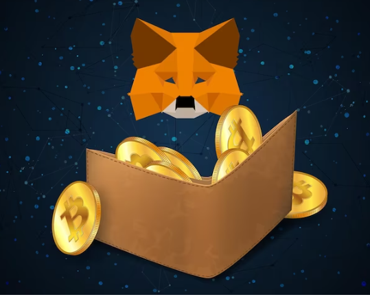 What is a digital currency wallet? + Introducing 7 wallets - Tara ...